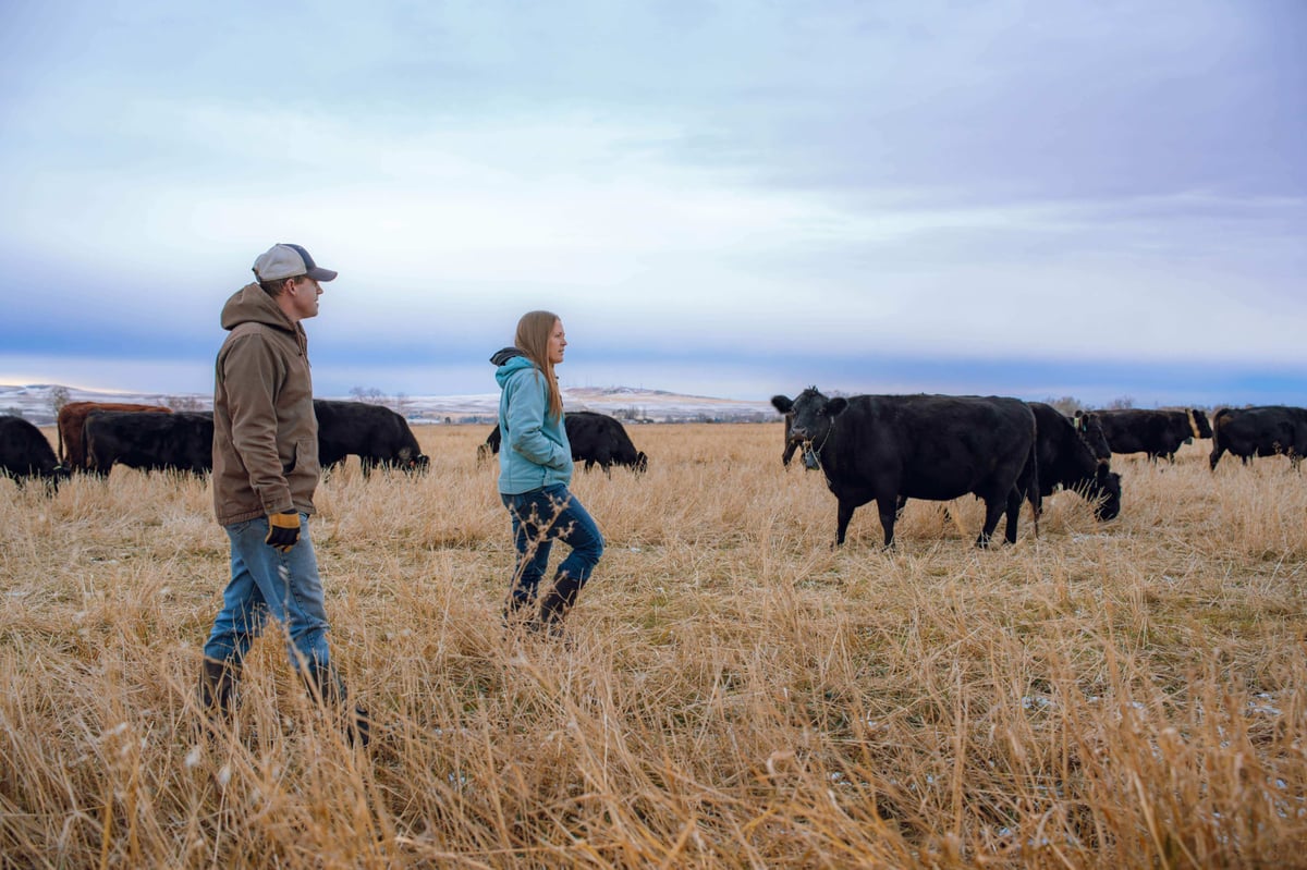 Maximizing efficiency and profit with innovative grazing | Nofence