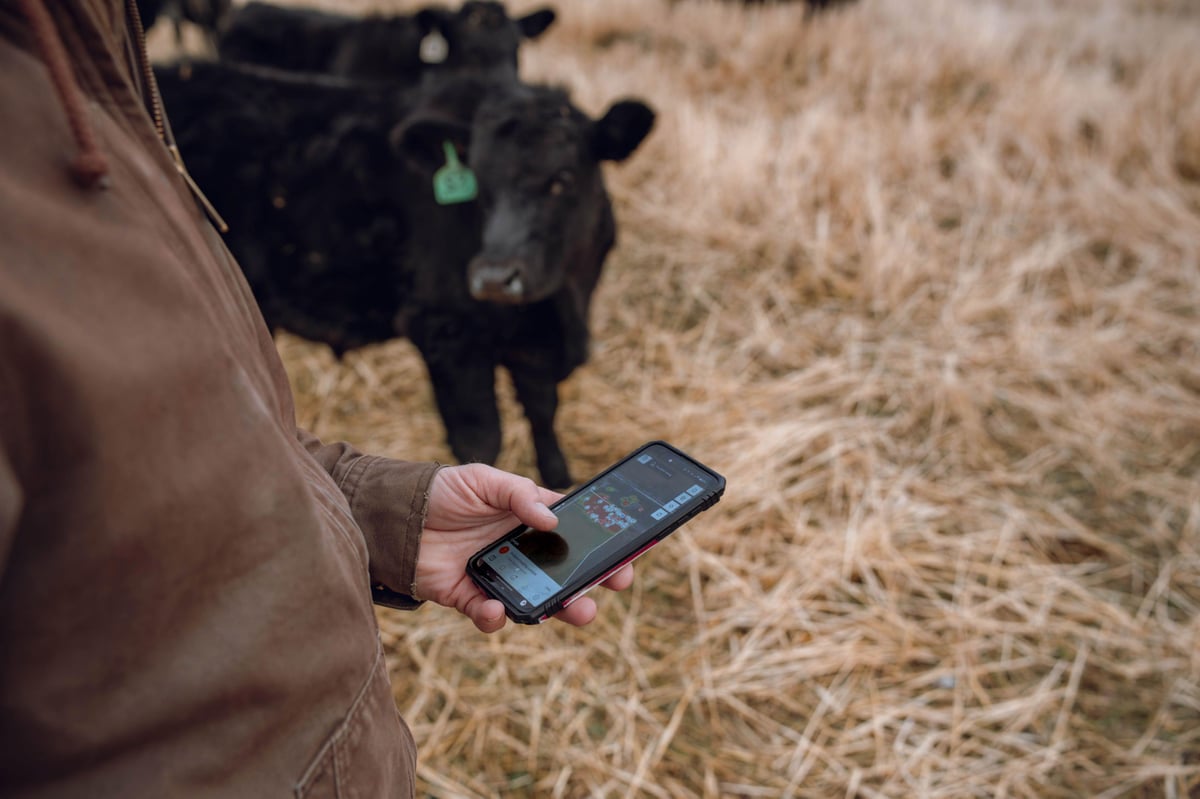 Maximizing efficiency and profit with innovative grazing | Nofence